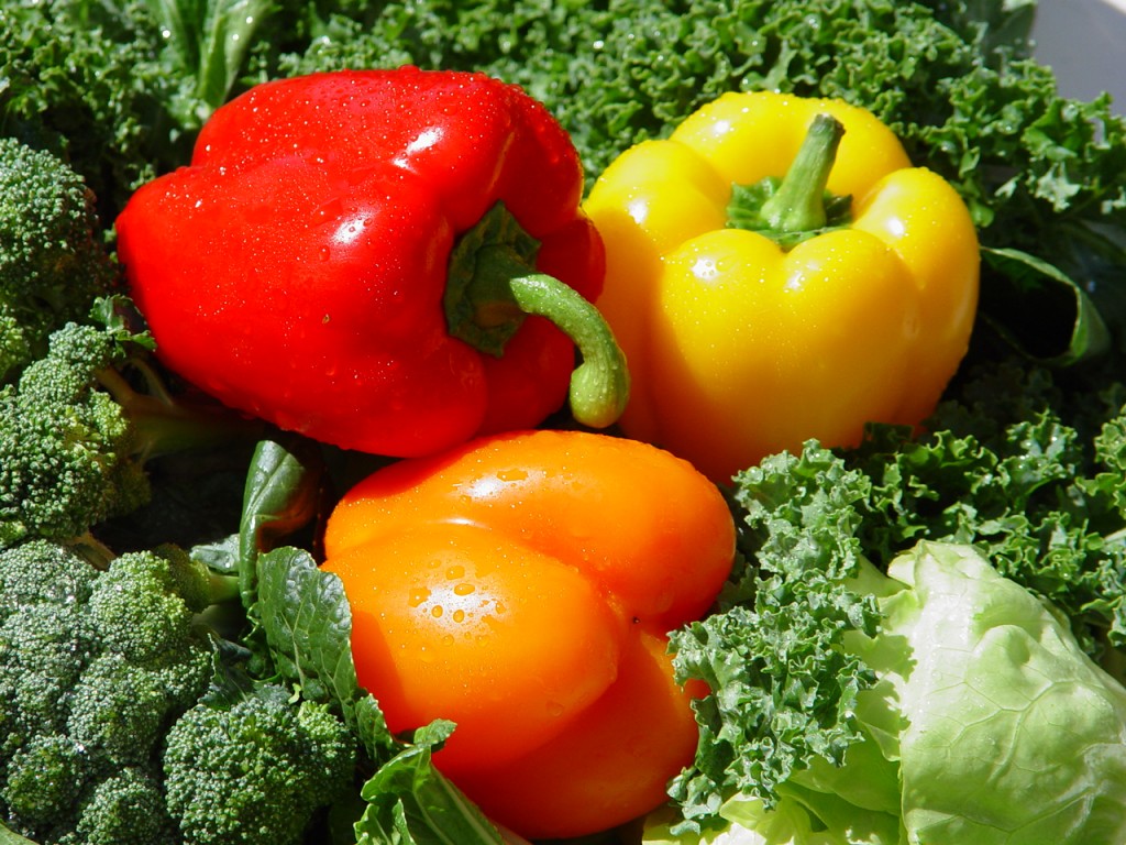 Jenny Can Cook – Healthy Home Cooking Recipes with No Ads! - Jenny Can Cook