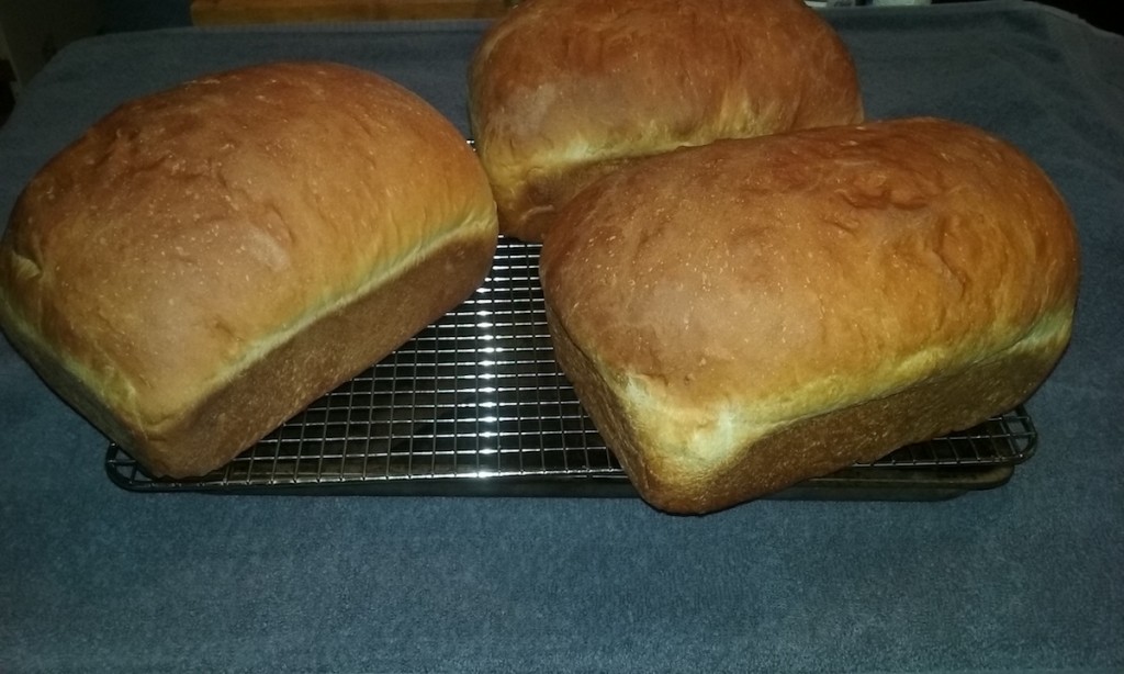 Your Photos/My Recipes | Jenny Can Cook | Jenny Can Cook - Jenny Can Cook